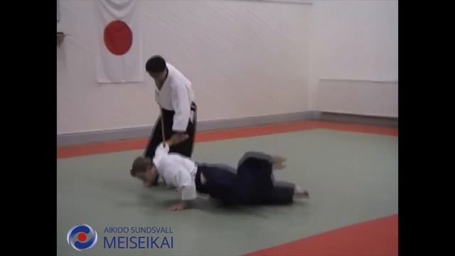 19 Aikido Jo No Tebiki Ai Hanmi Uchikaiten Sankyo Shishiya Sensei Sandviken 2002