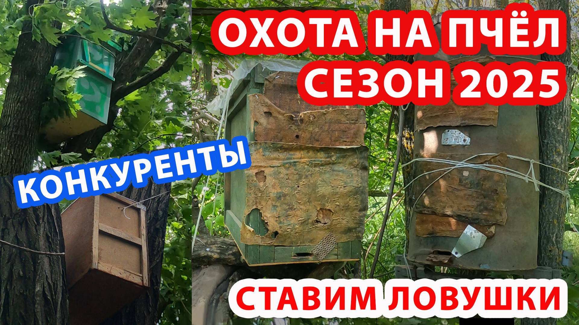 СТАВИМ ЛОВУШКИ СЕЗОН 2025