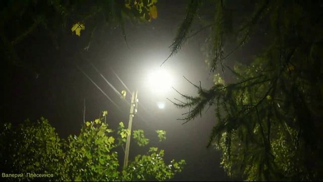 Сборник песен Сергея Трунова - Тебе одной.