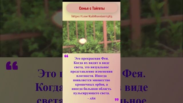 АЙЯ ~ Феи среди нас