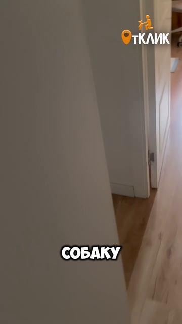 Выдержка без принуждения