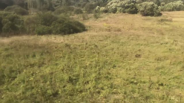 РЖД Тула Калуга из окна поезда. Часть 2. Тульская глушь хороший звук