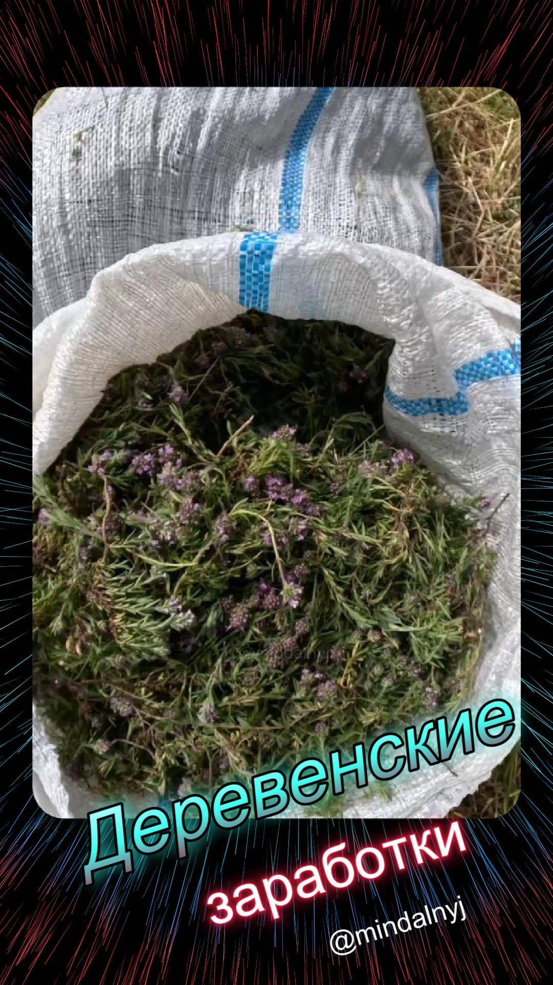 Как заработать в деревне