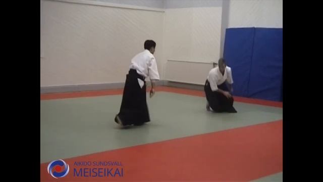 15 Aikido Ai Hanmi Kokyonage Shishiya Sensei Sandviken 2002