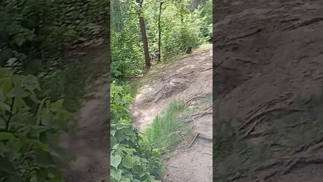 Плавать пора.