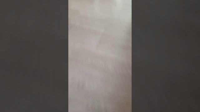 жизнь каменных медведей