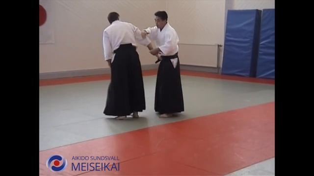 9 Aikido Ai Hanmi Uchikaiten Sankyo Shishiya Sensei Sandviken 2002