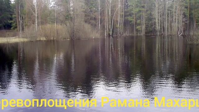 Перевоплощения Рамана Махарши