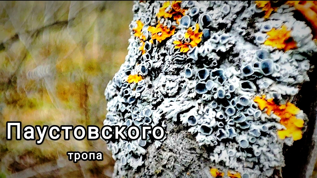 Тропа Паустовского. Часть 6