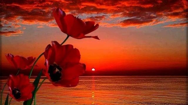 Лишнего в путь не бери!