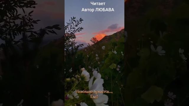 Найти путь праведный, путь к вдохновению души своей..