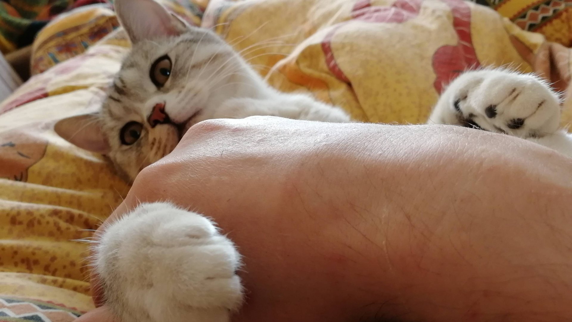 День "К " (высокобюджетный фильм - призер Канского фестиваля в 2024 году)