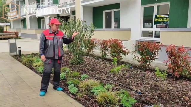 Новая жизнь клумб