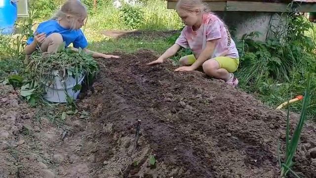 27-05-2025 Хроника с дачи от мамы.