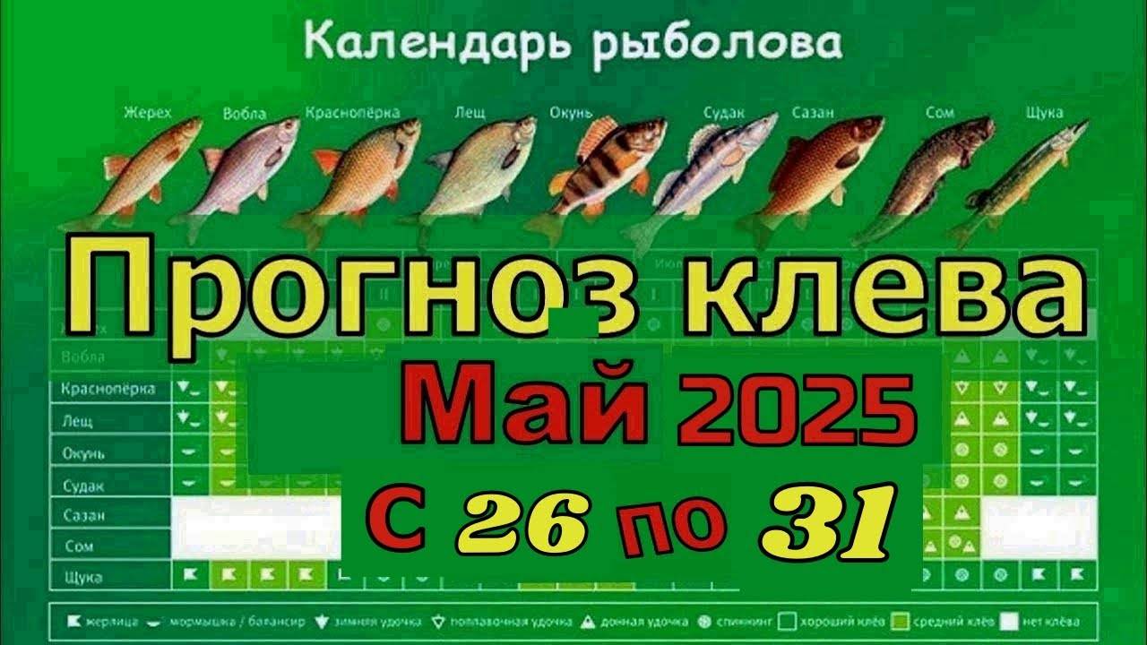 Прогноз клева рыбы на Май 2025 года. Лунный календарь рыбака. Календарь рыбака на май