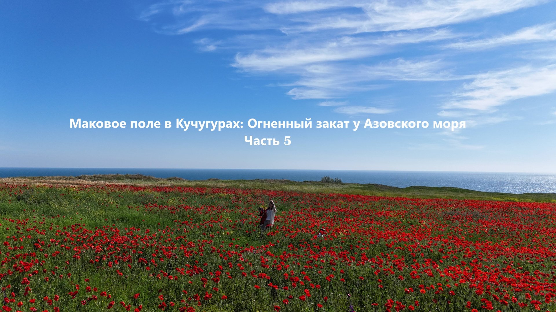 Маковое поле в Кучугурах: Огненный закат у Азовского моря. (Часть 5)