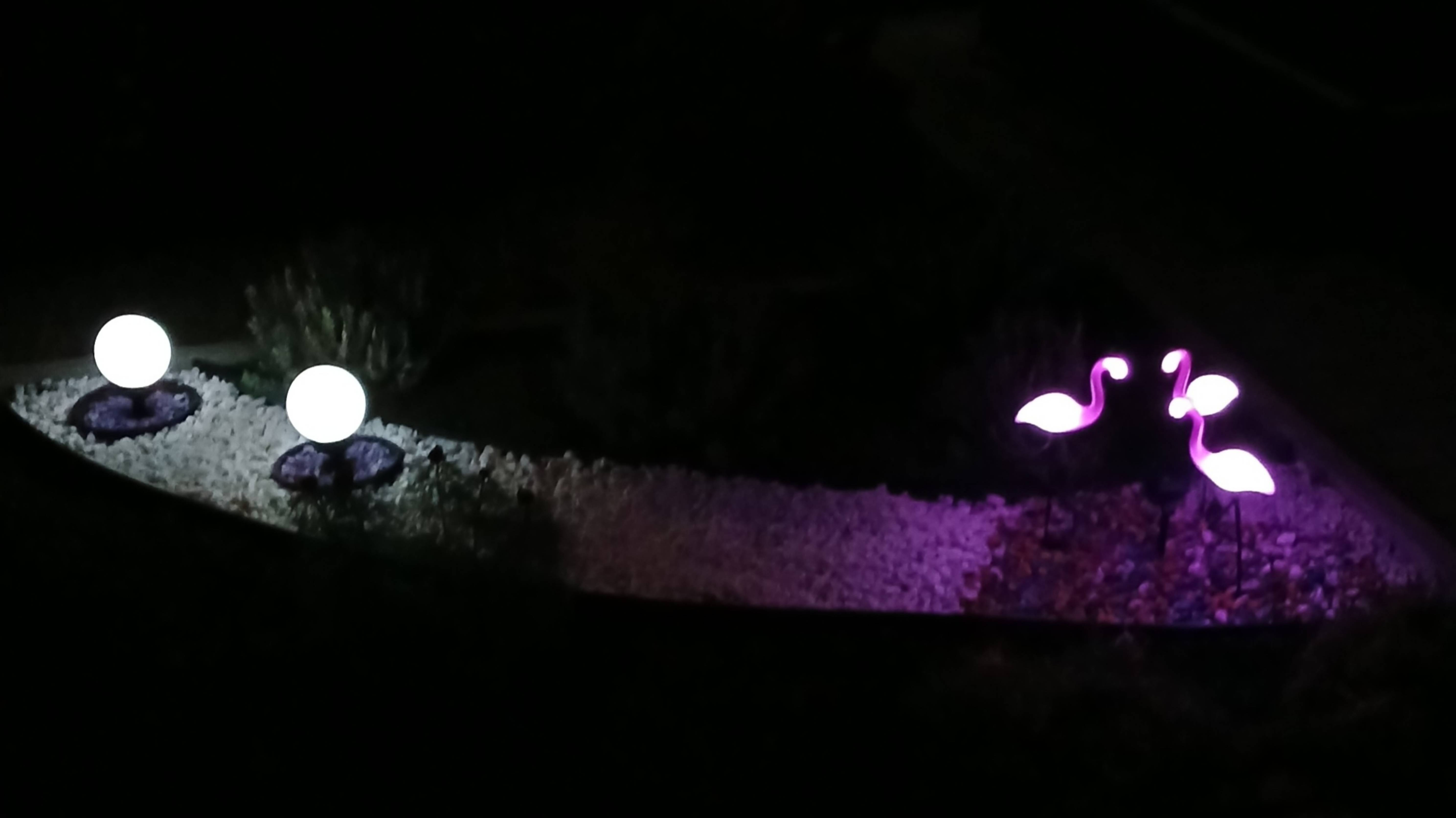 Мой вечерний сад