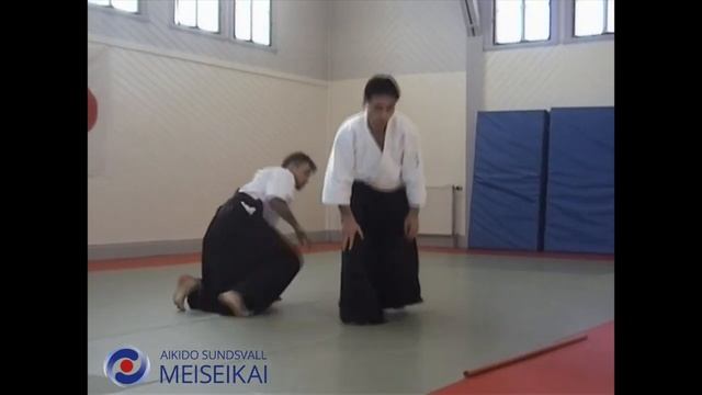 5 Aikido Jo No Tebiki Ai Hanmi Do Barai Nikyo Shishiya Sensei Sandviken 2002