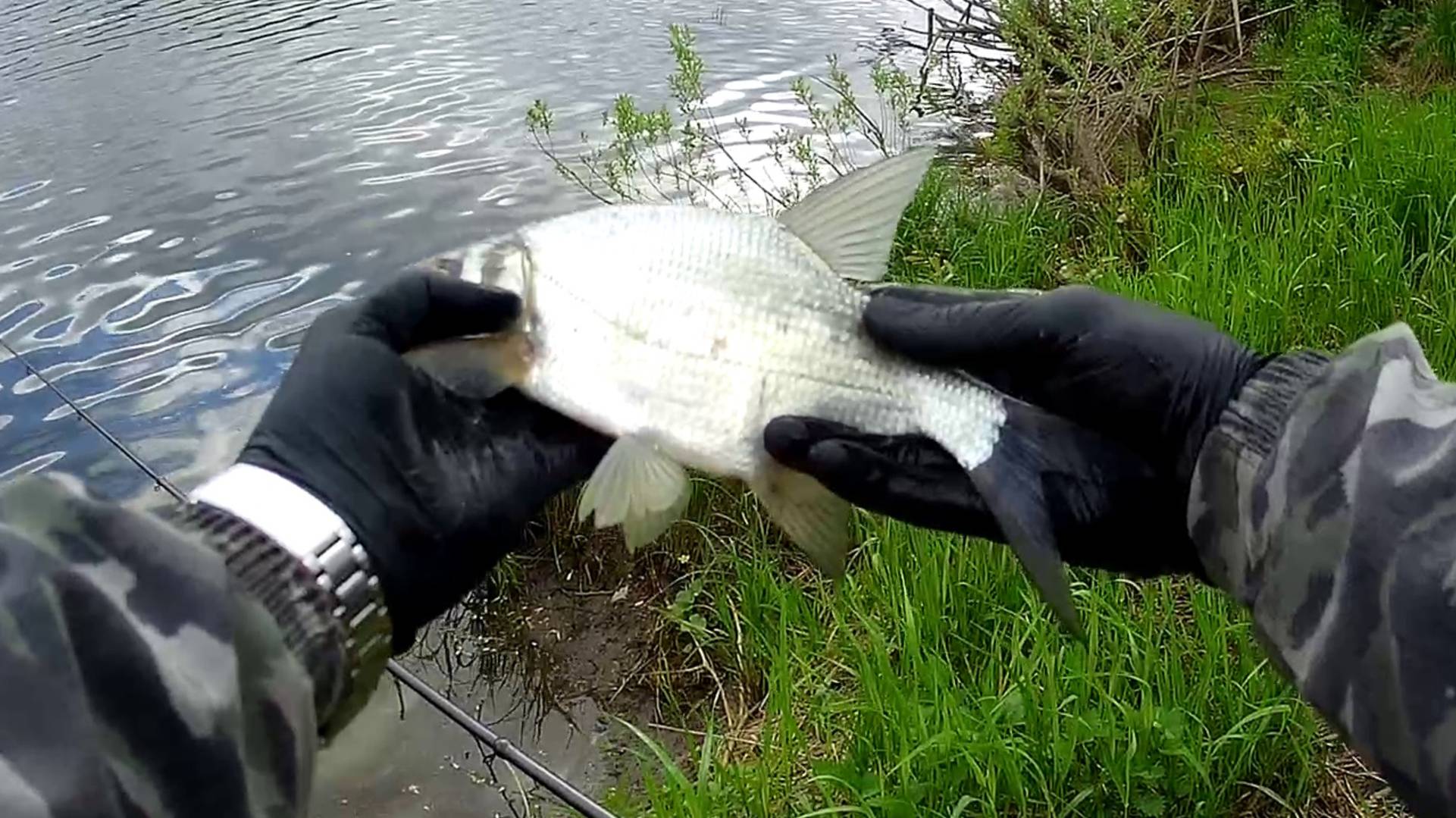 БОЛОНСКАЯ И МАТЧЕВАЯ УДОЧКИ НА РЕКЕ