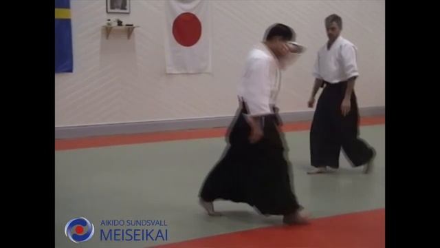 14 Aikido Ken No Tebiki Ai Hanmi Sankyo Shishiya Sensei Sandviken 2002
