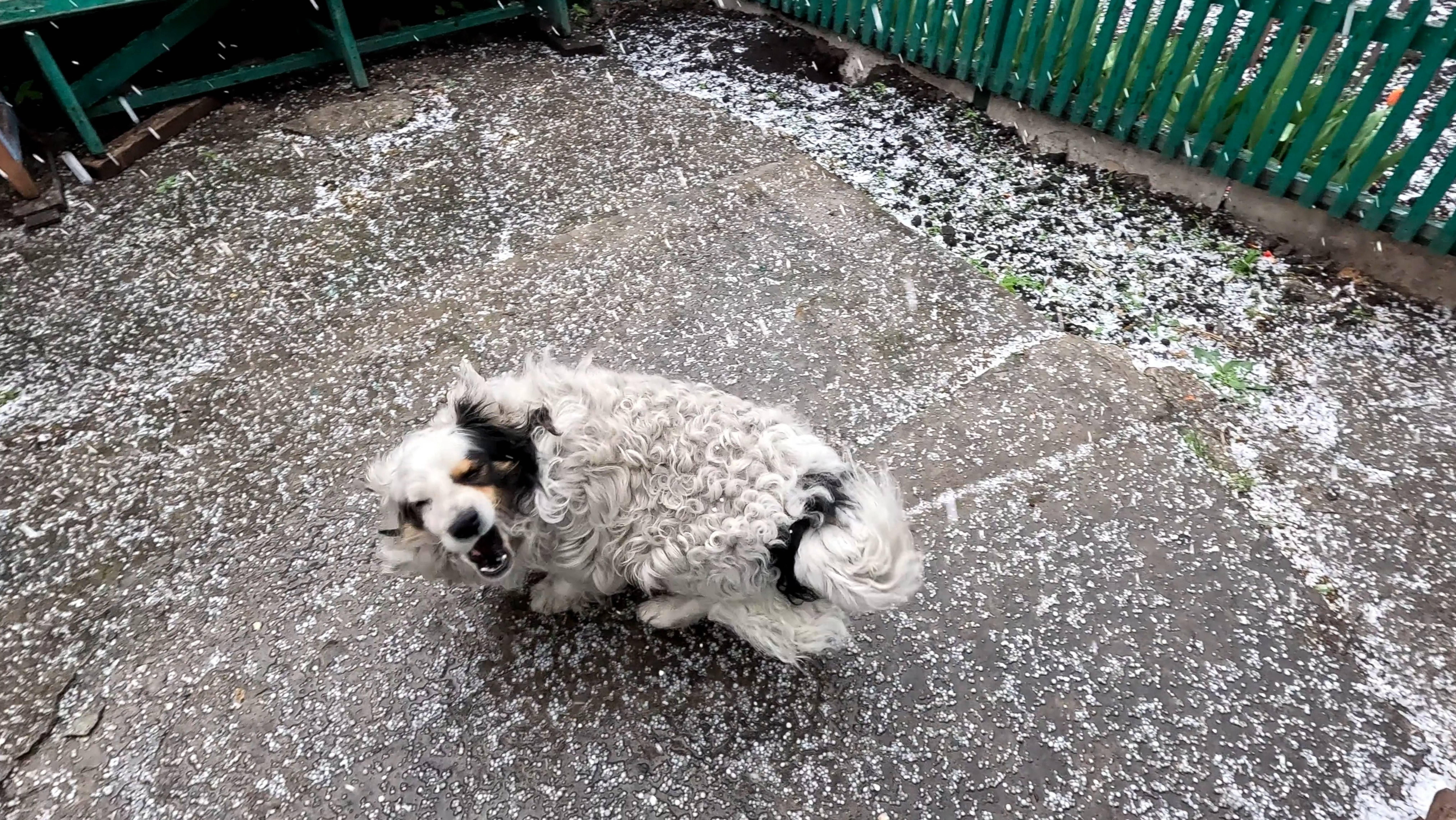 Град в Абакане 27.05.2025