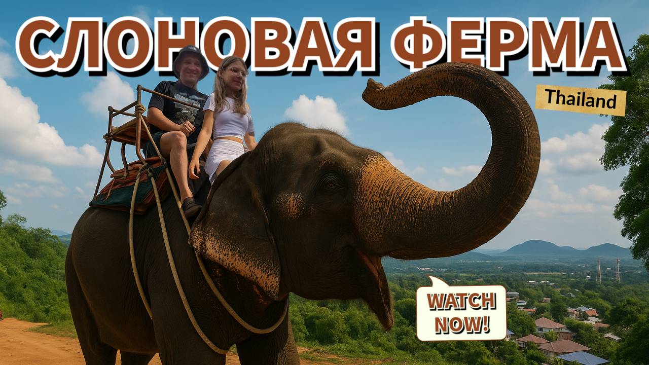Гиганты с доброй душой 🐘 Слоновая ферма недалеко от Патонга 🌴 Путешествие в Таиланд #outhome
