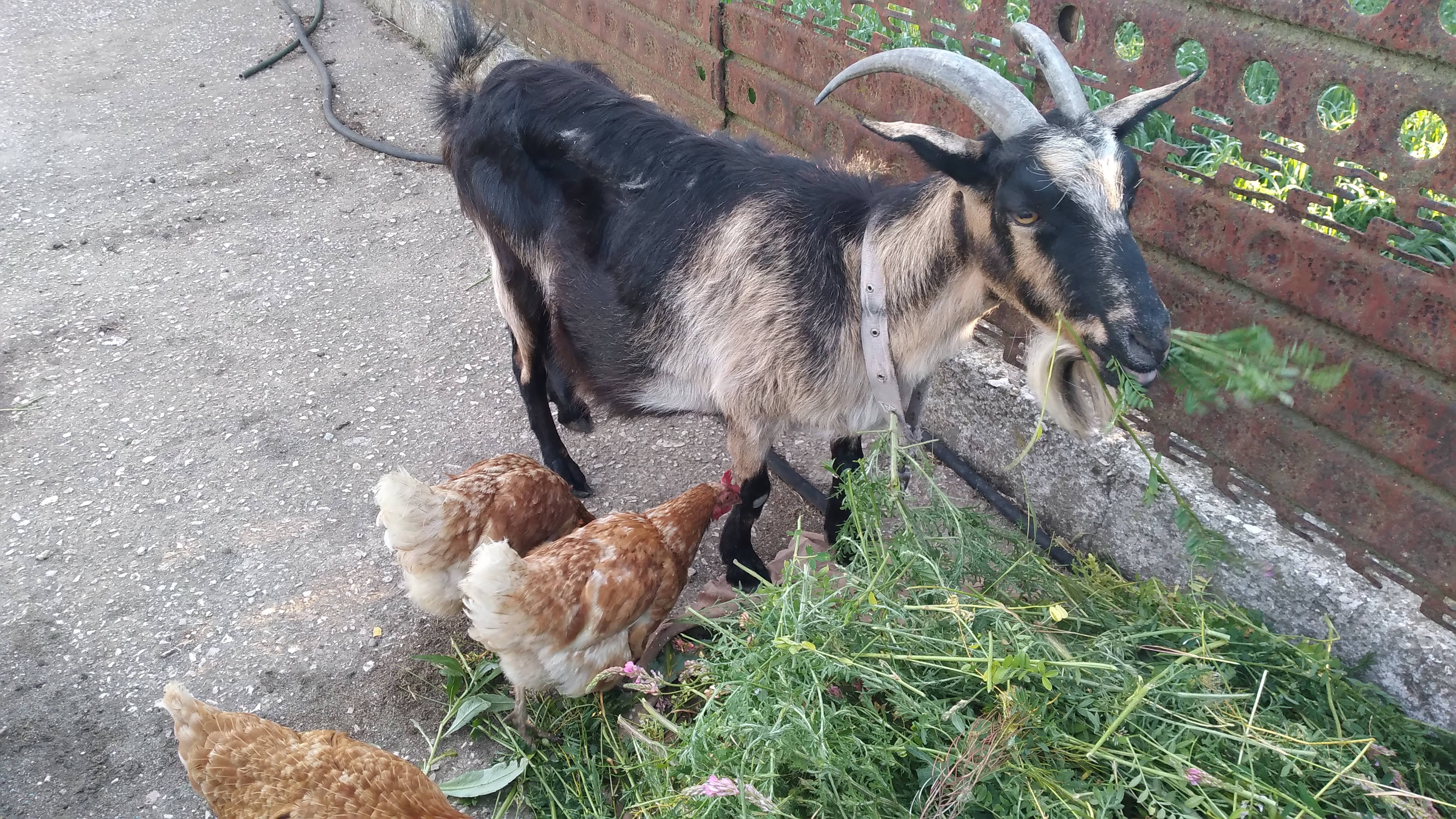 Это все мне