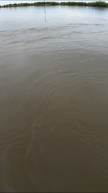 Кто это? Смотри в Телеге Я СПИННИНГИСТ