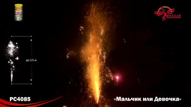 PC4085 Мальчик или девочка