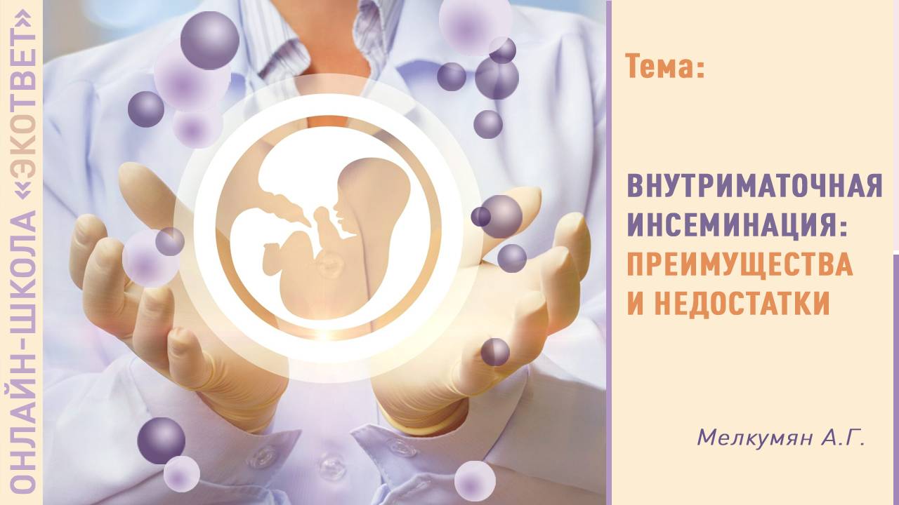 Онлайн-школа ЭКОтвет: Внутриматочная инсеминация. Преимущества и недостатки.
