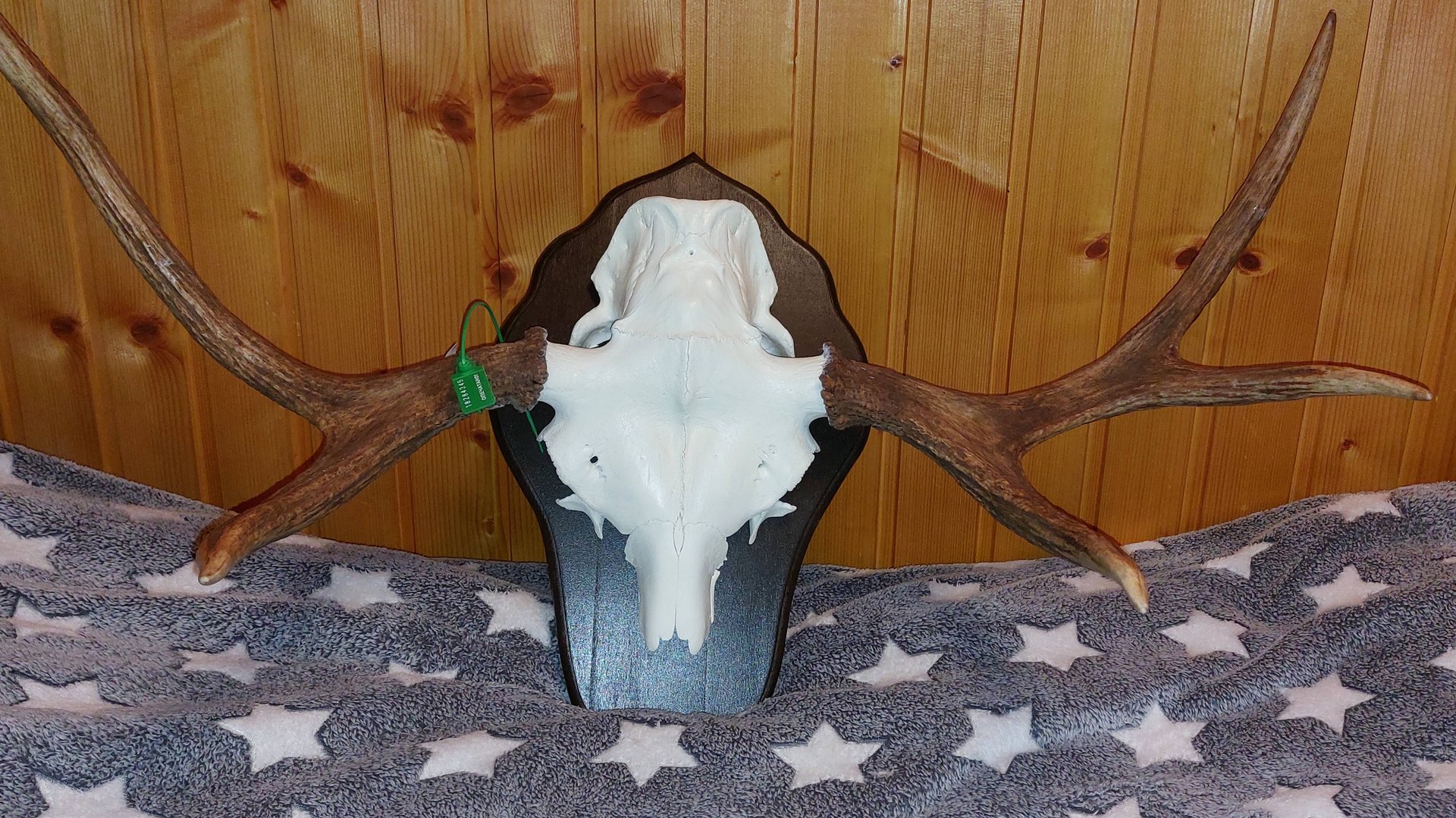 Охота. Охота на лося. Тепловизор. Отдельные эпизоды охоты.