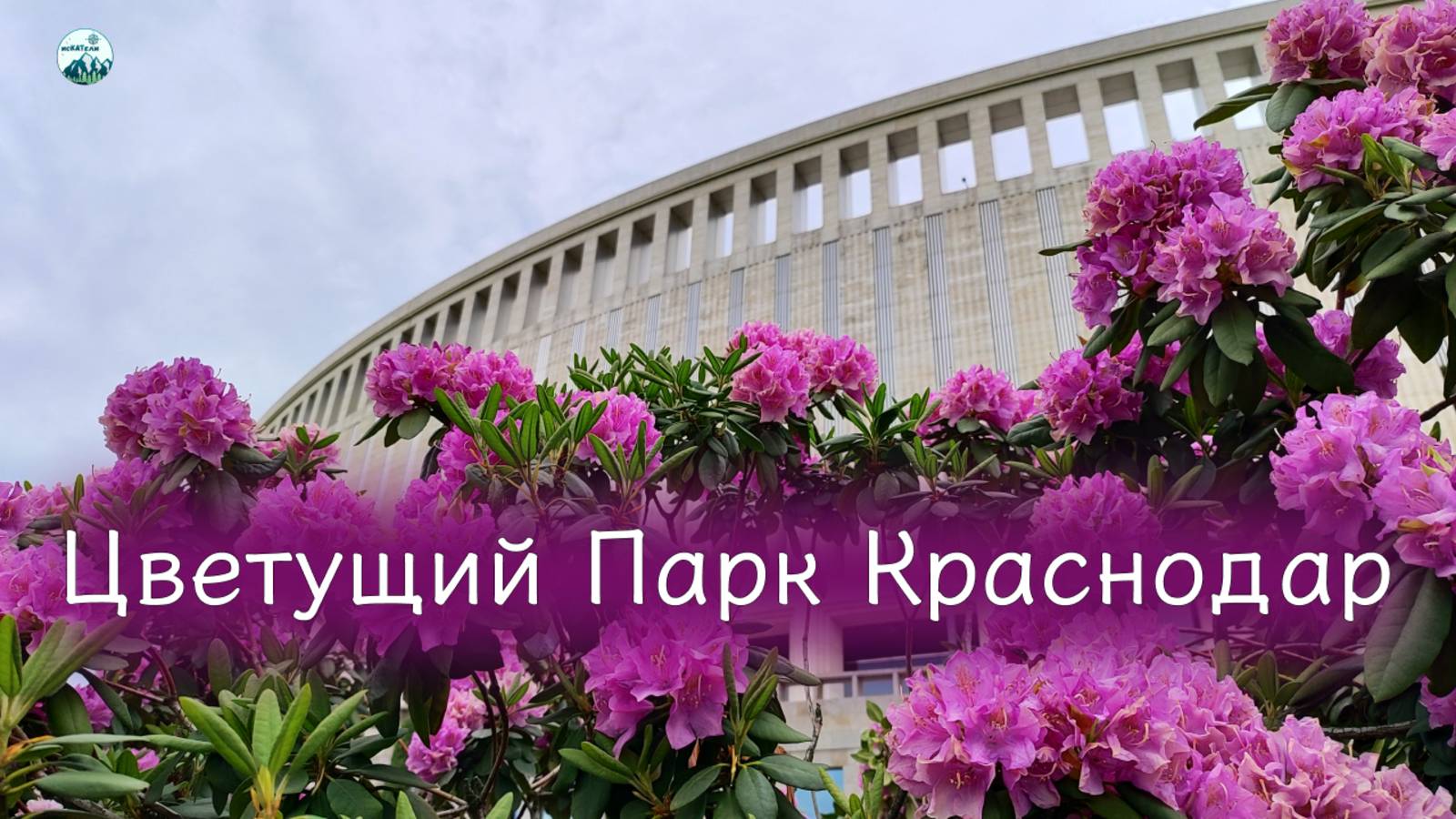 Цветущий Парк Краснодар в мае