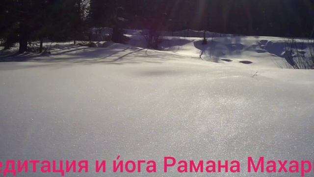 Медитация и и́ога Рамана Махарши