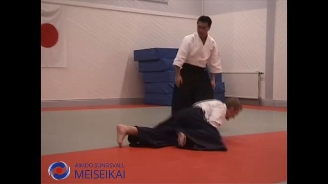 8 Aikido Ai Hanmi Ikkyo Ura Shishiya Sensei Sandviken 2002