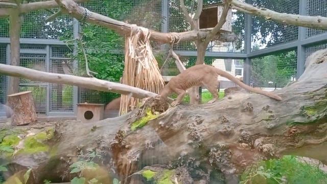 Новосибирск. Топ крутых мест