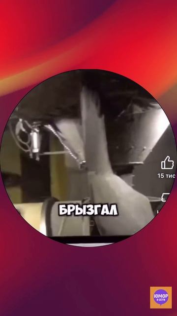 Я сейчас занята 👿 #юмор #рофл #топ #смешнойшортс #мемас #девушки