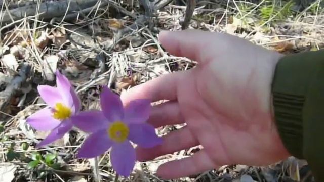 Старинный репер на берегу реки