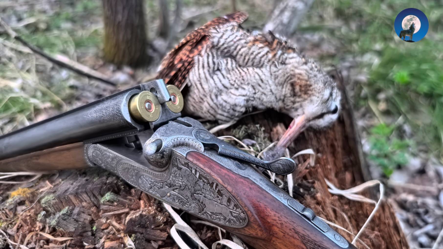 ОХОТА НА ВАЛЬДШНЕПА НА ТЯГЕ ВЕСНА 2025