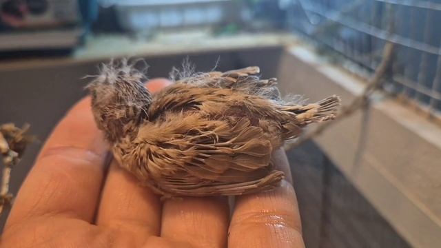 Милоты в ленту :)