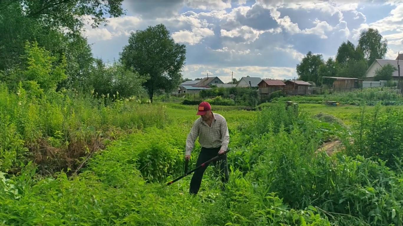 Косьба. Воспоминания об ушедшем лете.(4/4)