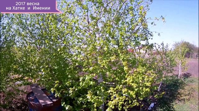 2017 весна на Хатке и Имении