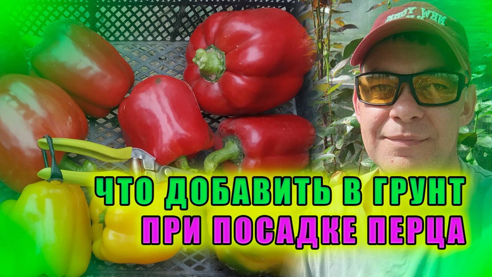 Вот что я подсыпаю ✊ в лунку при посадке рассады перца, томатов и огурцов 🍅🥒 🍆 в открытый грунт