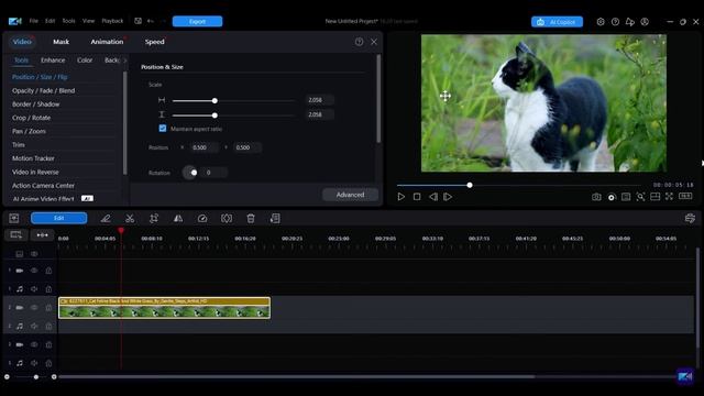 Основы 13 Редактирование: размер,положение,вращение,перевернуть Cyberlink PowerDirector 2025