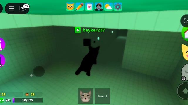 Как я нашла скин и попала в уровень дримкор,роблокс,игра в кота.😸