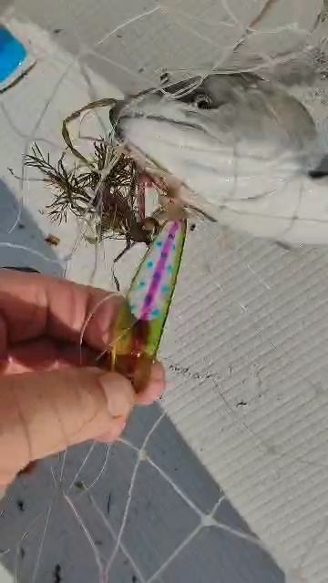 Раманычу, спасибо за отчёт 🤝