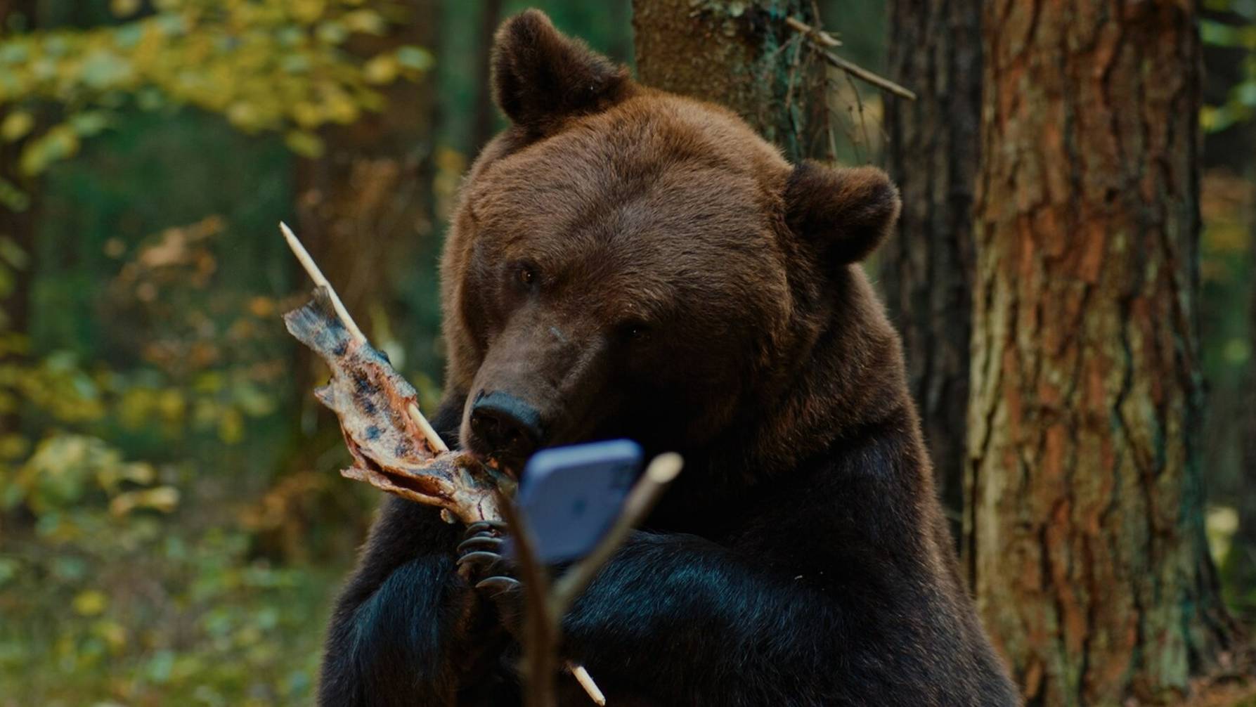 Мой папа - медведь | Русский трейлер | Фильм 2025