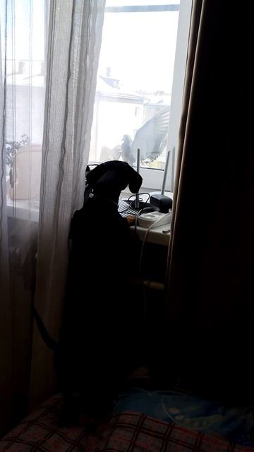 Томск-Красноярск, 2025_04. Бесстыжие голуби!