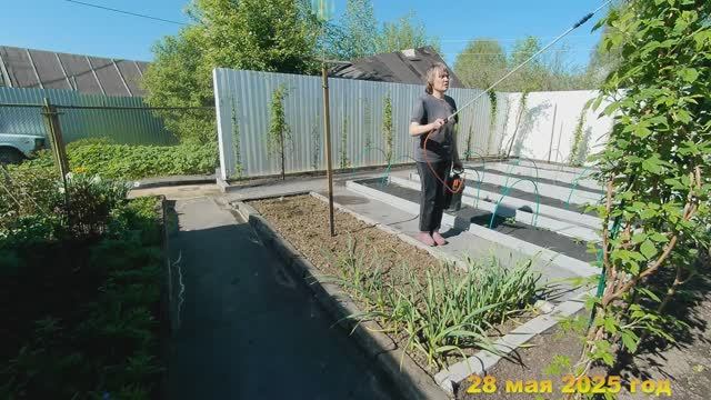 7 соток. Подкармливаю помидоры и обрабатываю огород от клещей. Хроника 28 мая 2025 год. 2 часть.