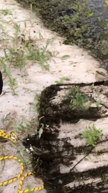 Почистили реку от железного хлама, поддержи подпиской 🫶