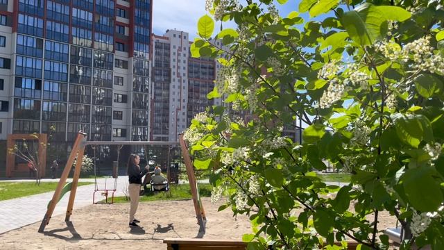 Месяц май в наших проектах